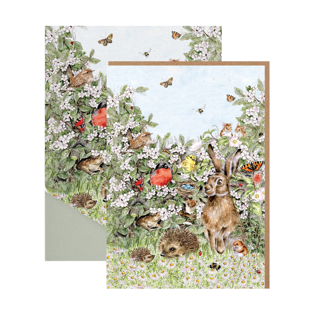 Wrendale - Nature Notecard Packs – HOUSE OF PORTMEIRION
