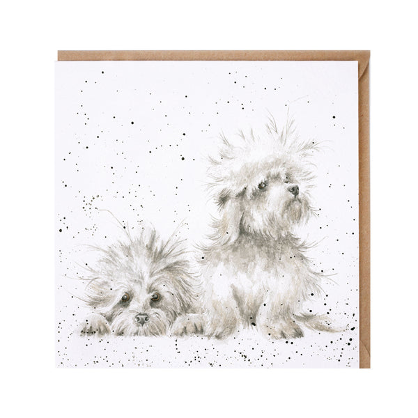 Wrendale - Greeting Cards - The Country Set - Collection One – HOUSE OF ...