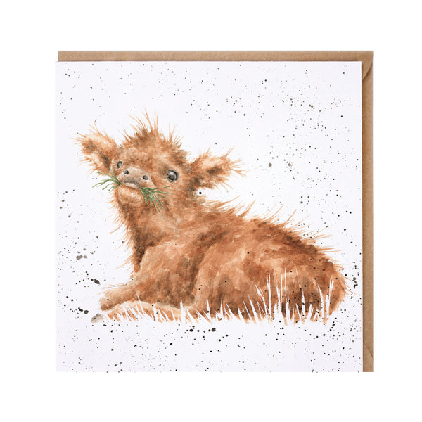 Wrendale - Greeting Cards - The Country Set - Collection One – HOUSE OF ...