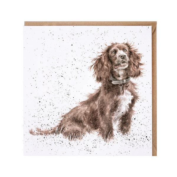 Wrendale - Greeting Cards - The Country Set - Collection One – HOUSE OF ...