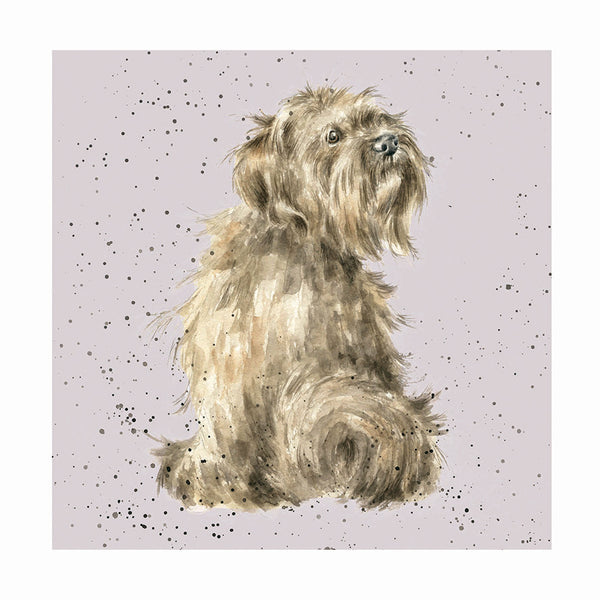 Wrendale - A Dog's Life Cards – HOUSE OF PORTMEIRION