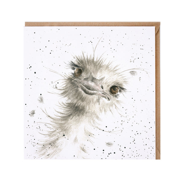 Wrendale - Greeting Cards - The Zoology Collection – HOUSE OF PORTMEIRION