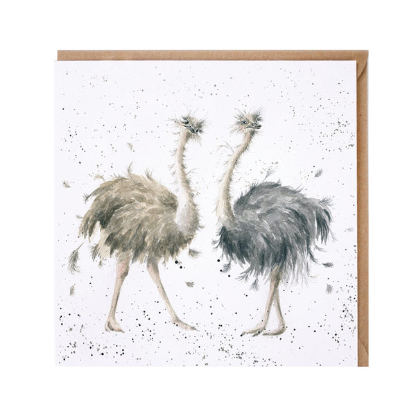 Wrendale - Greeting Cards - The Zoology Collection – HOUSE OF PORTMEIRION