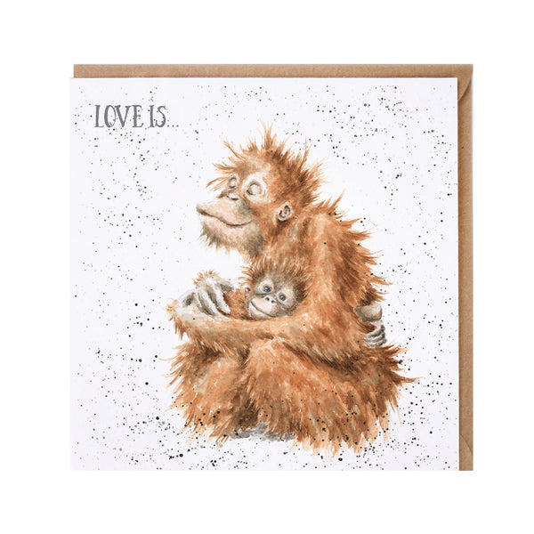Wrendale - Greeting Cards - The Zoology Collection – HOUSE OF PORTMEIRION