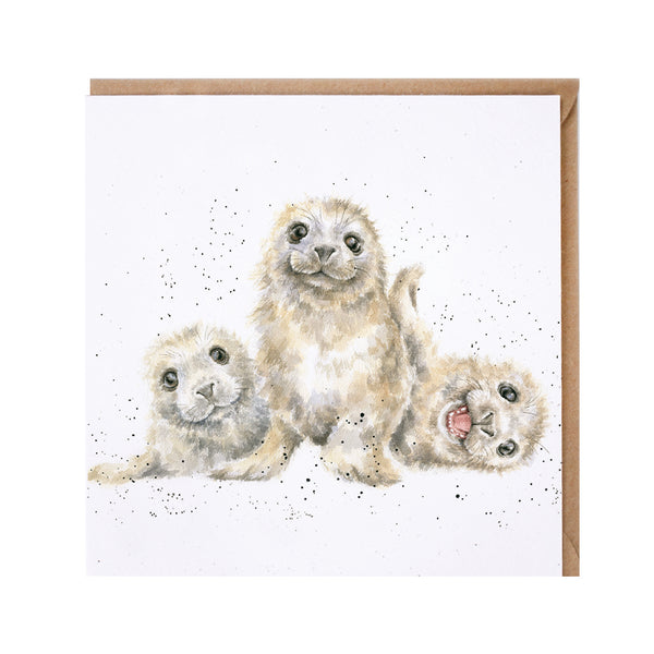 Wrendale - Greeting Cards - The Zoology Collection – HOUSE OF PORTMEIRION