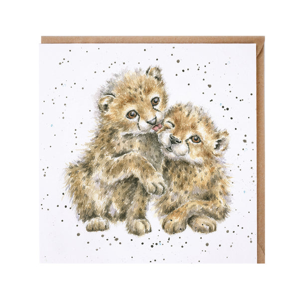 Wrendale - Greeting Cards - The Zoology Collection – HOUSE OF PORTMEIRION