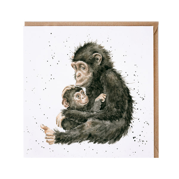 Wrendale - Greeting Cards - The Zoology Collection – HOUSE OF PORTMEIRION